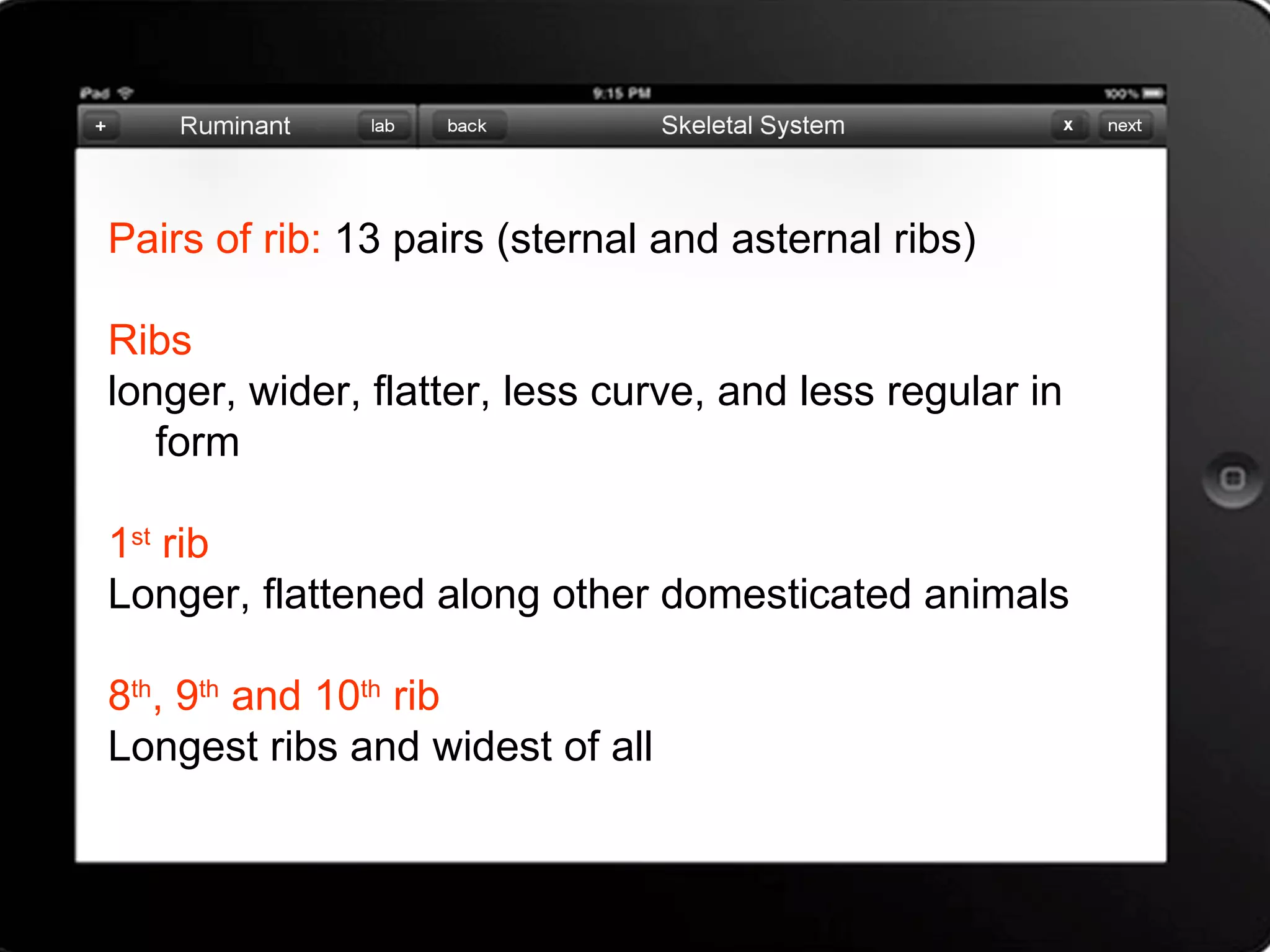 Skeletal system of Bovine | PPT