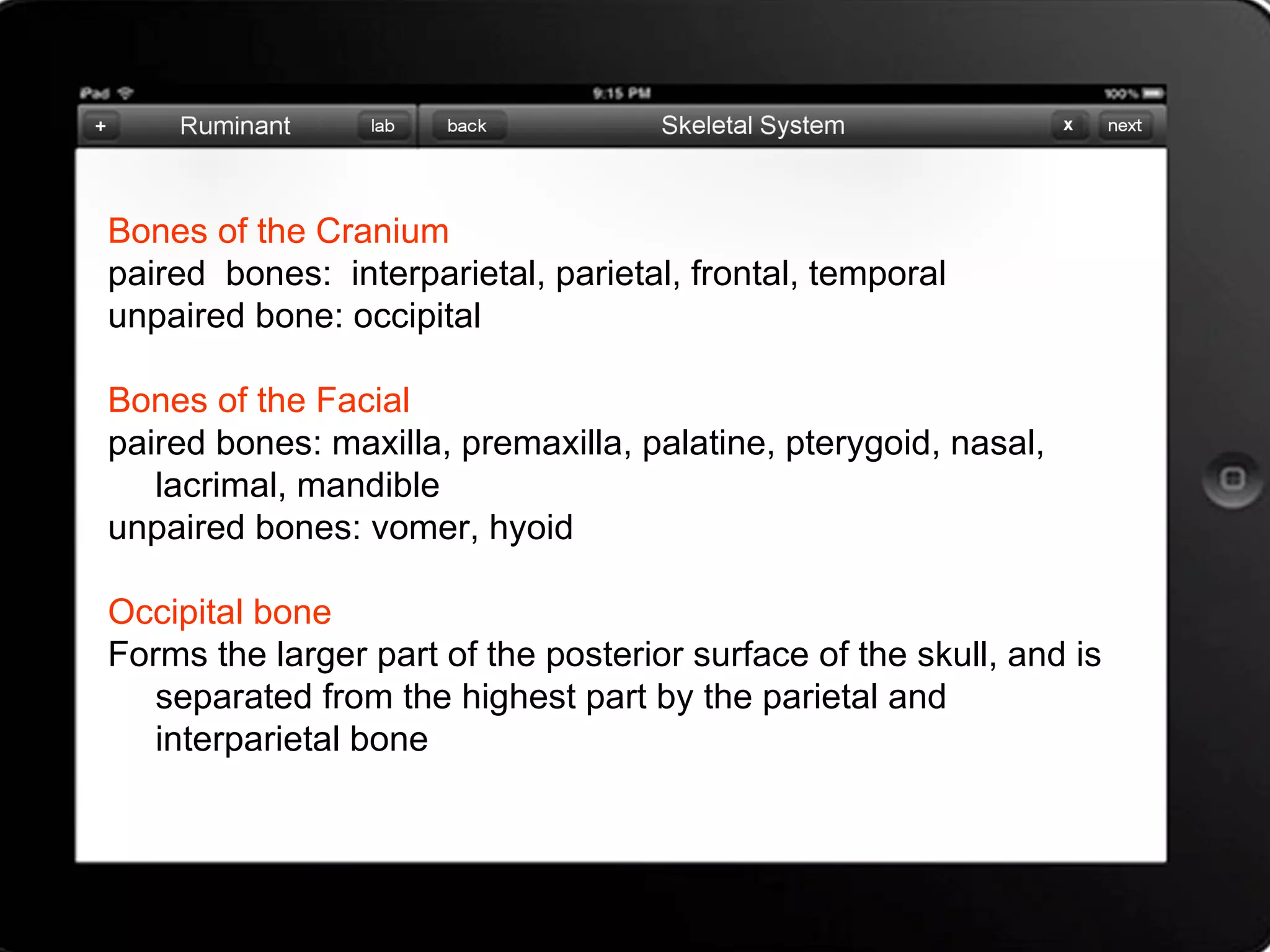 Skeletal system of Bovine | PPT
