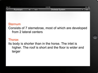 Skeletal system of Bovine | PPT