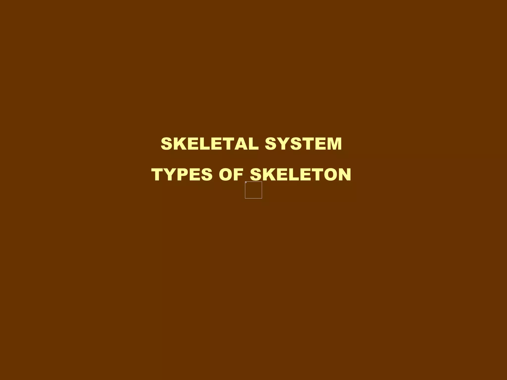 Skeletal ''''' | PPT