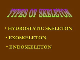 Skeletal ''''' | PPT
