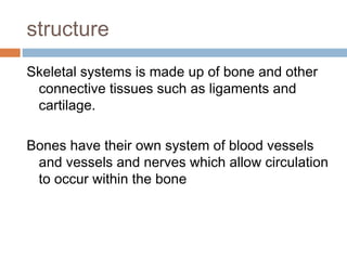 Skeletal | PPT