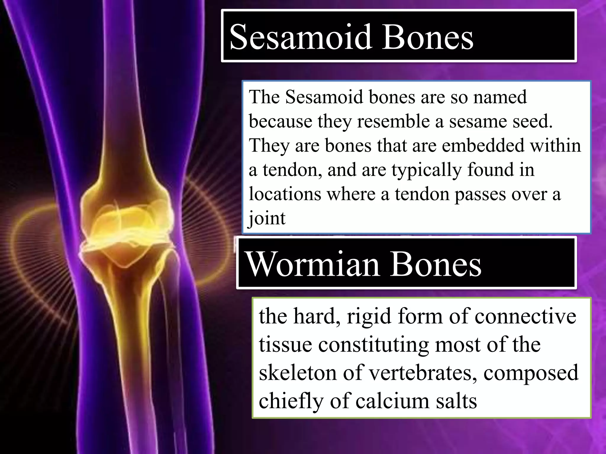 Skeletal System of Human Body | PPTX