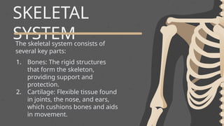 SKELETAL system-earth and life science.pptx