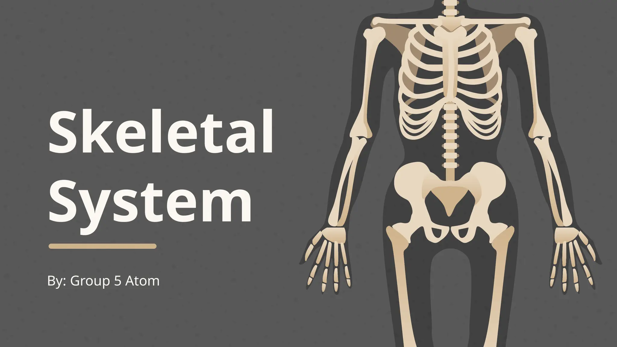 SKELETAL system-earth and life science.pptx
