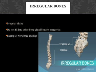 Skeletal system of human........Skeletal | PPTX
