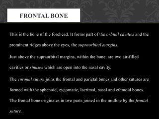Skeletal system of human........Skeletal | PPTX