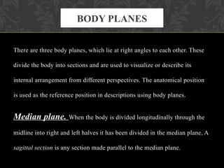 Skeletal system of human........Skeletal | PPTX