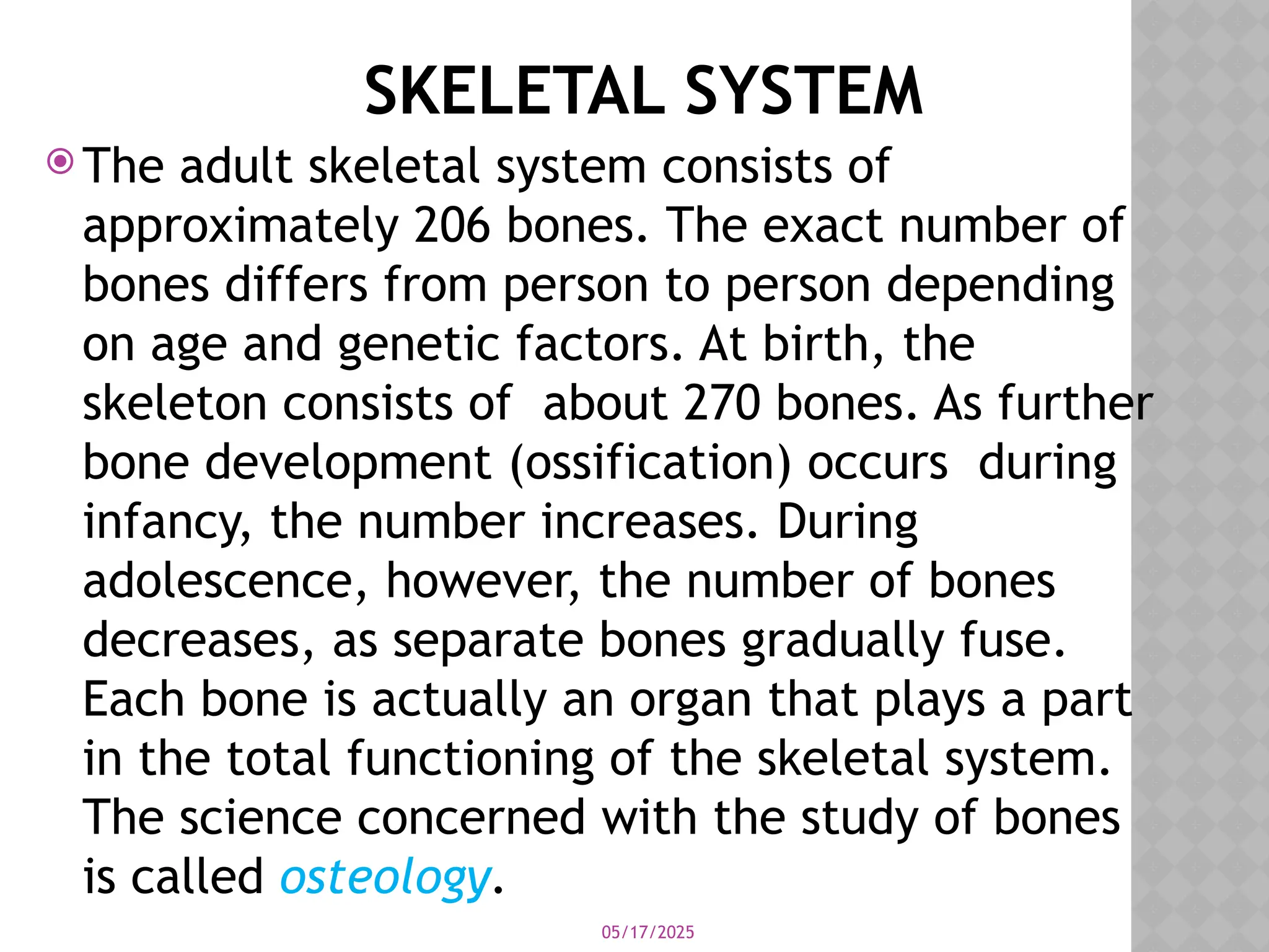 Skeletal system. Power point slides [ppt | PPTX