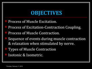 Skeletal muscle contraction | PPT