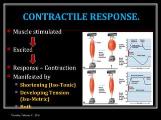 Skeletal muscle contraction | PPT