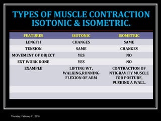 Skeletal muscle contraction | PPT