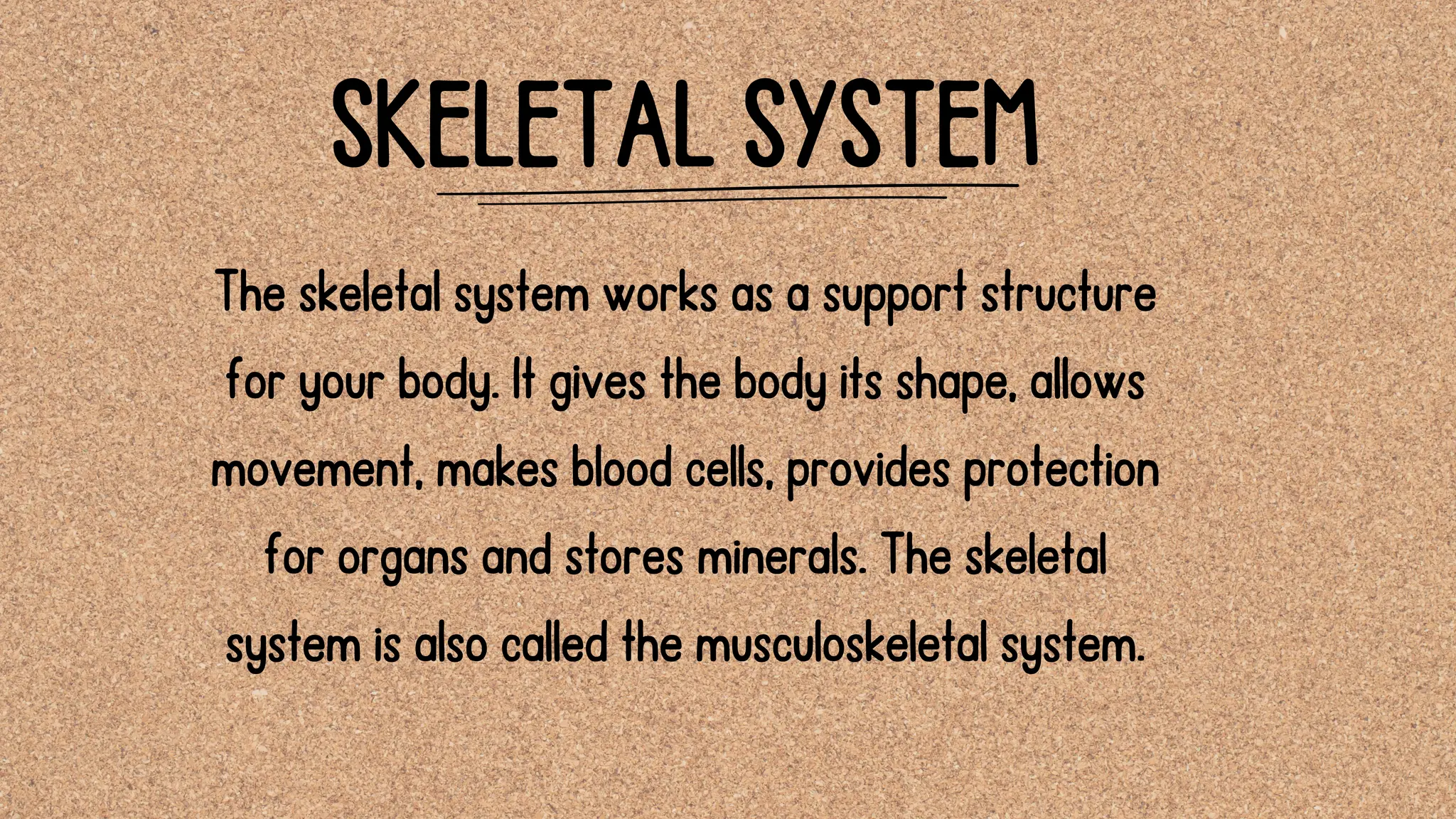 skeletal-muscular-system.pdf a presentation | PDF