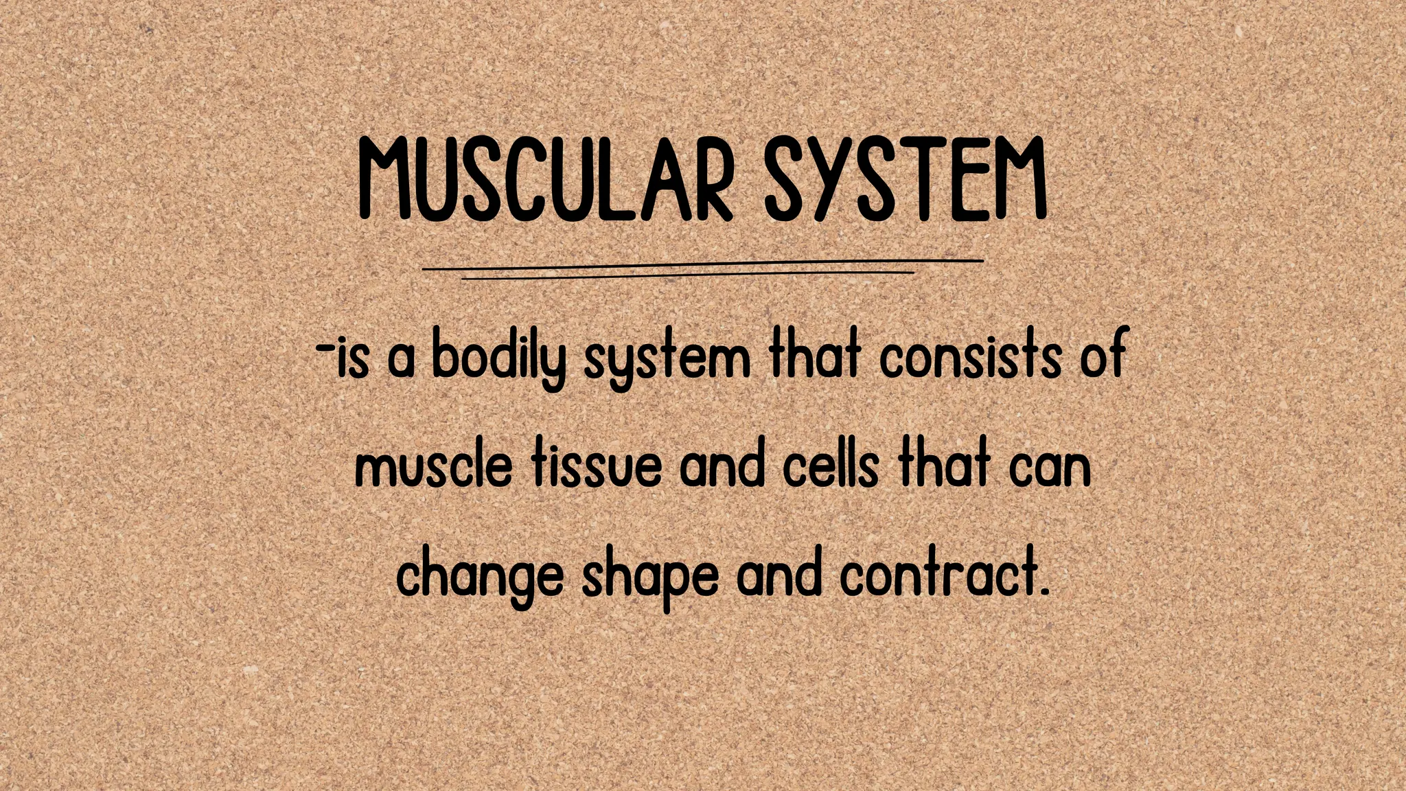 skeletal-muscular-system.pdf a presentation | PDF