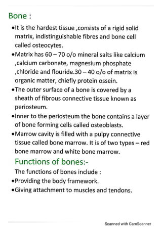 Skeletal muscular system | PDF