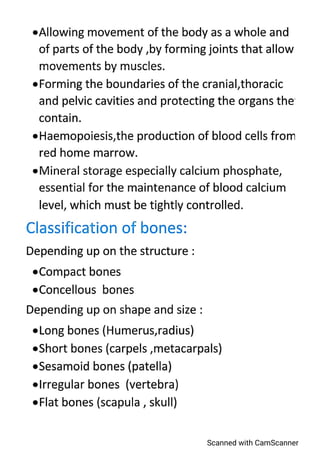 Skeletal muscular system | PDF
