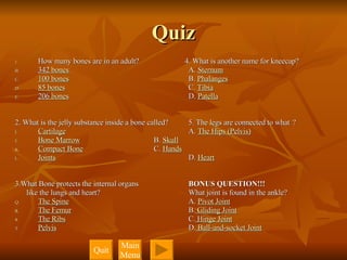 Interactive Powerpoint: Skeletal System | PPT