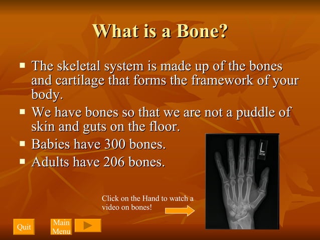 Interactive Powerpoint: Skeletal System | PPT