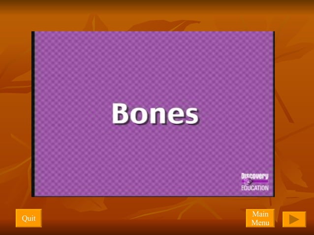 Interactive Powerpoint: Skeletal System | PPT