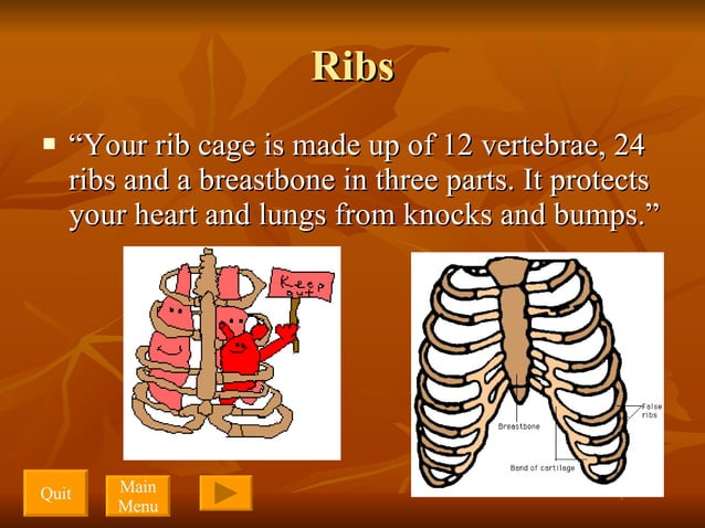 Interactive Powerpoint: Skeletal System | PPT