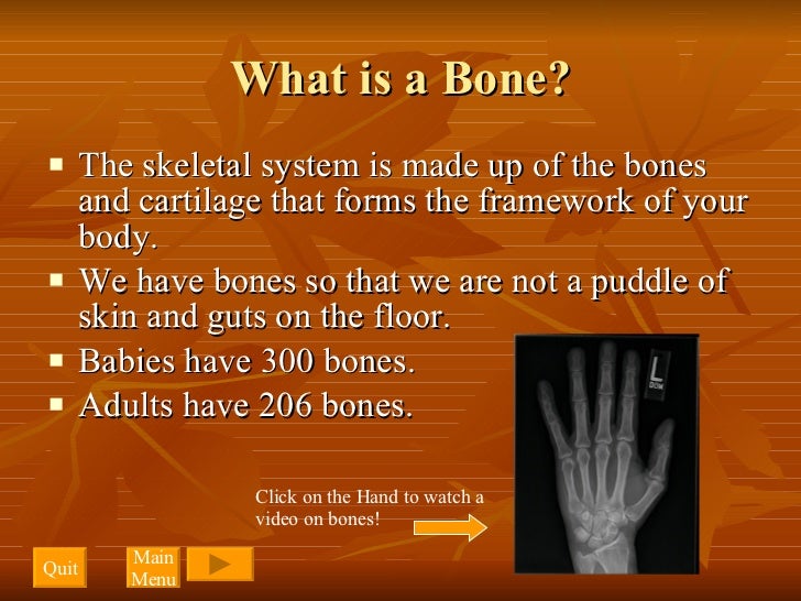 Skeletal System Ppt