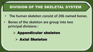 SKELETAL-SYSTEM-1.pptx