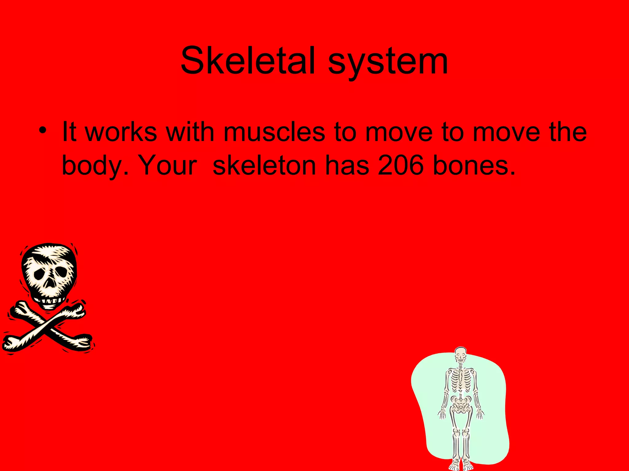 Skeletal System | PPT