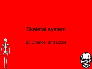 Skeletal System | PPT