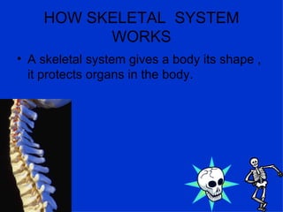 Skeletal System | PPT