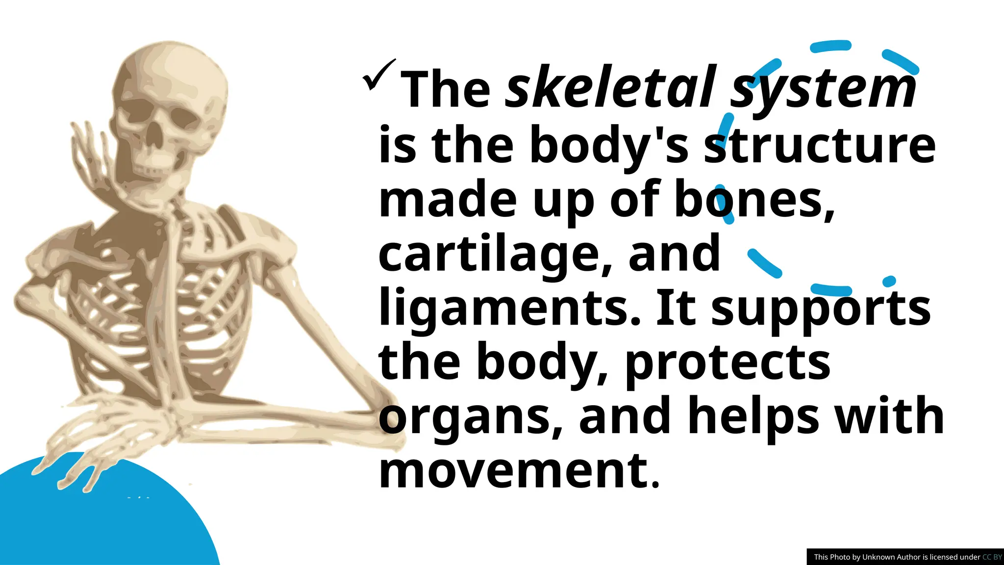 Anatomy and physiology of Skeletal-System-2-2.pptx