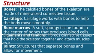 Anatomy and physiology of Skeletal-System-2-2.pptx