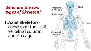 Anatomy and physiology of Skeletal-System-2-2.pptx