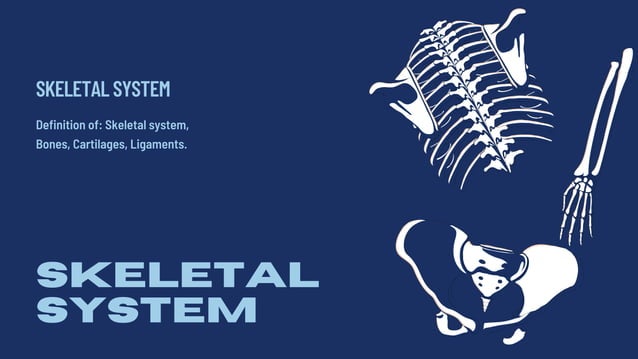 SKELETAL-SYSTEM-_20240215_061540_0000.pdf