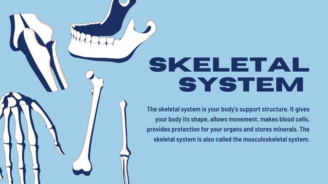 SKELETAL-SYSTEM-_20240215_061540_0000.pdf