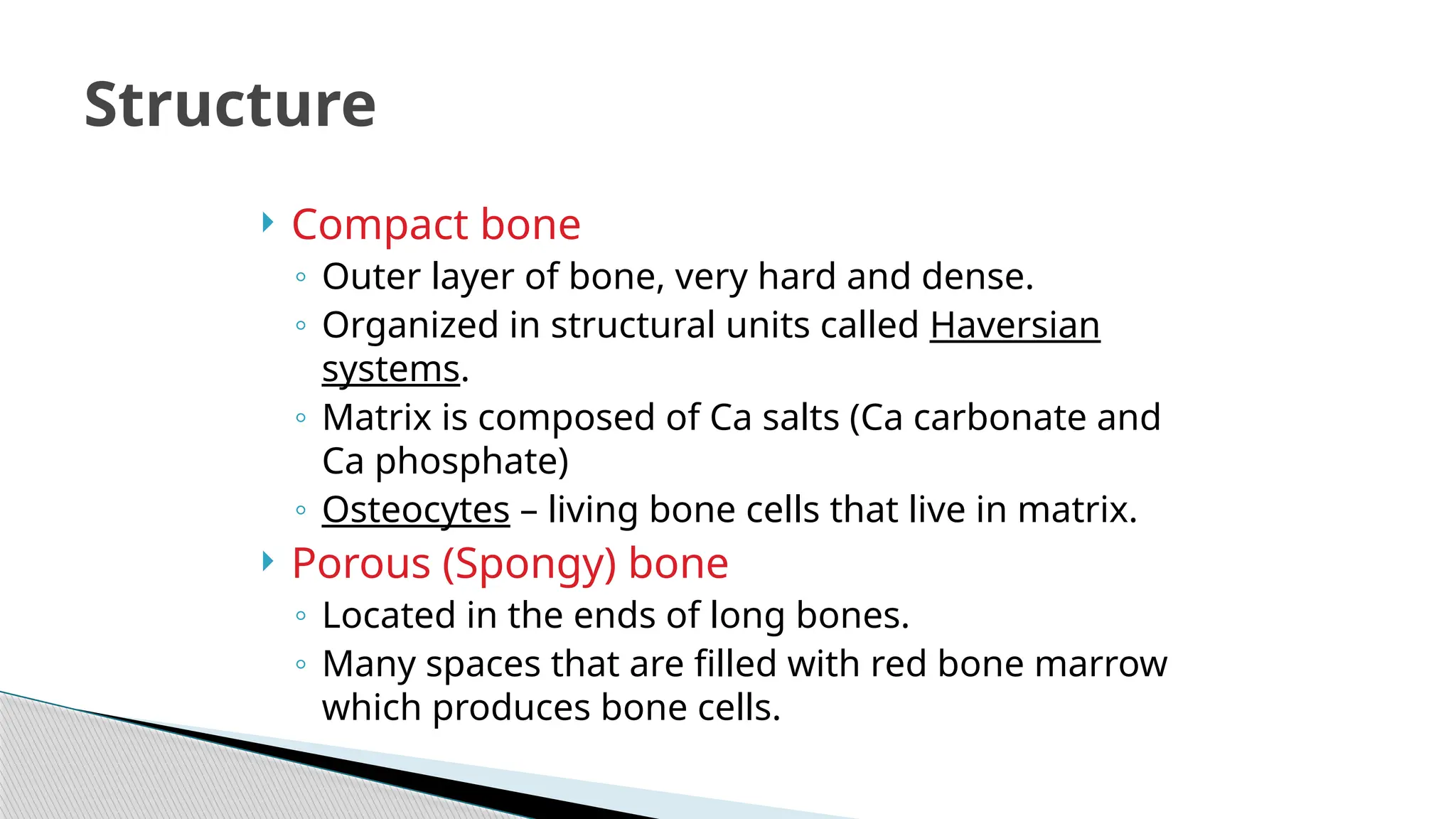 skeletal-system-220930065657-a14b470a.pptx