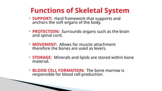 skeletal-system-220930065657-a14b470a.pptx