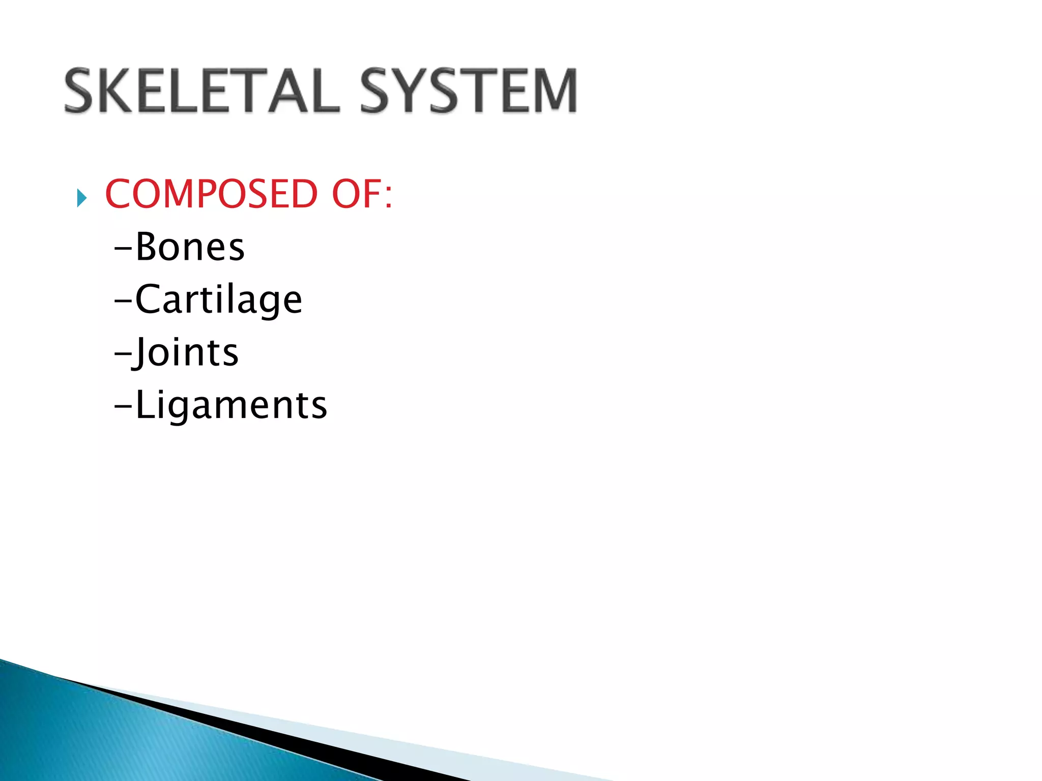 skeletal-system.ppt