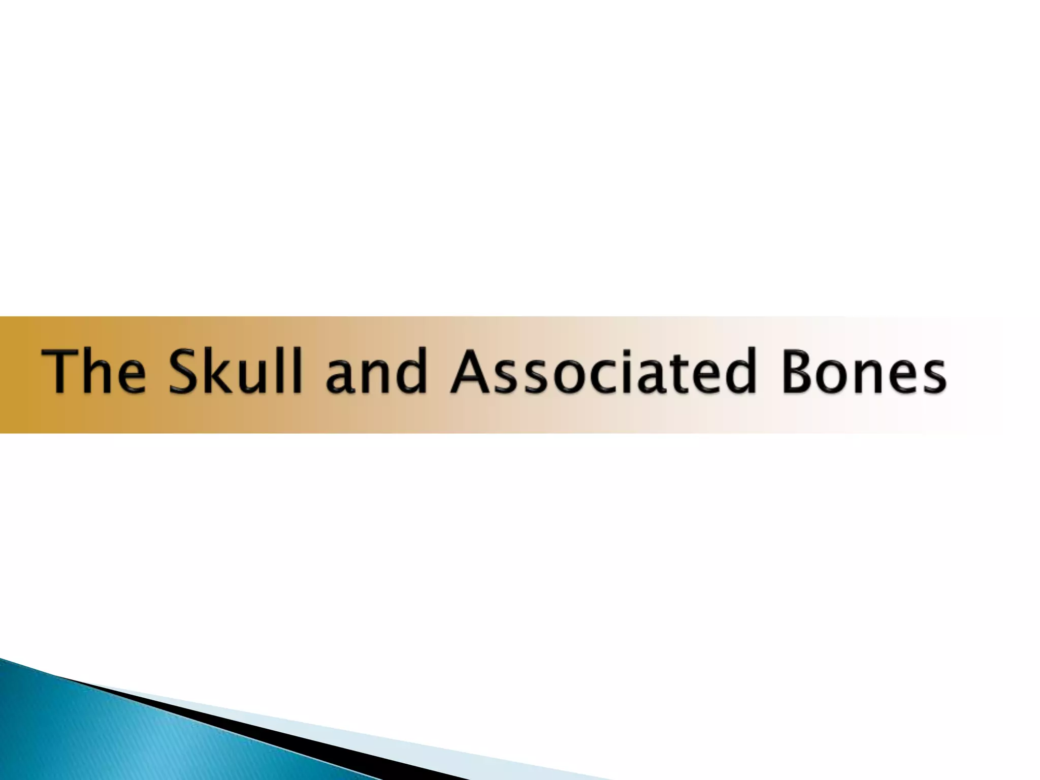skeletal-system.ppt