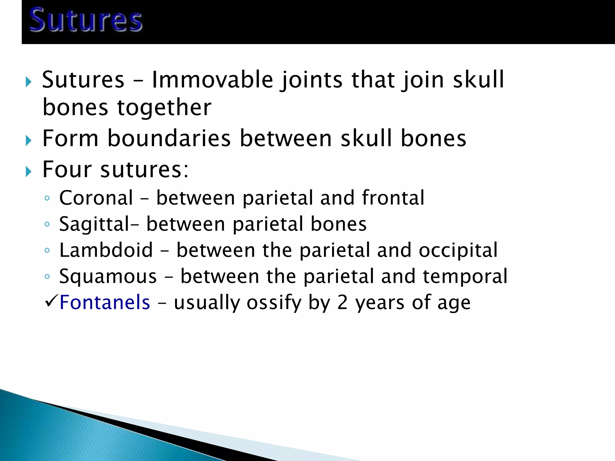 skeletal-system.ppt