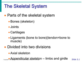 ANATOMY AND PHYSIOLOGY Skeletal-System.. | PDF