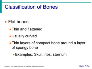 ANATOMY AND PHYSIOLOGY Skeletal-System.. | PDF