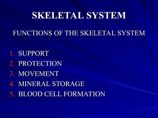 skeletal-system.ppt (for College)Medical | PPT
