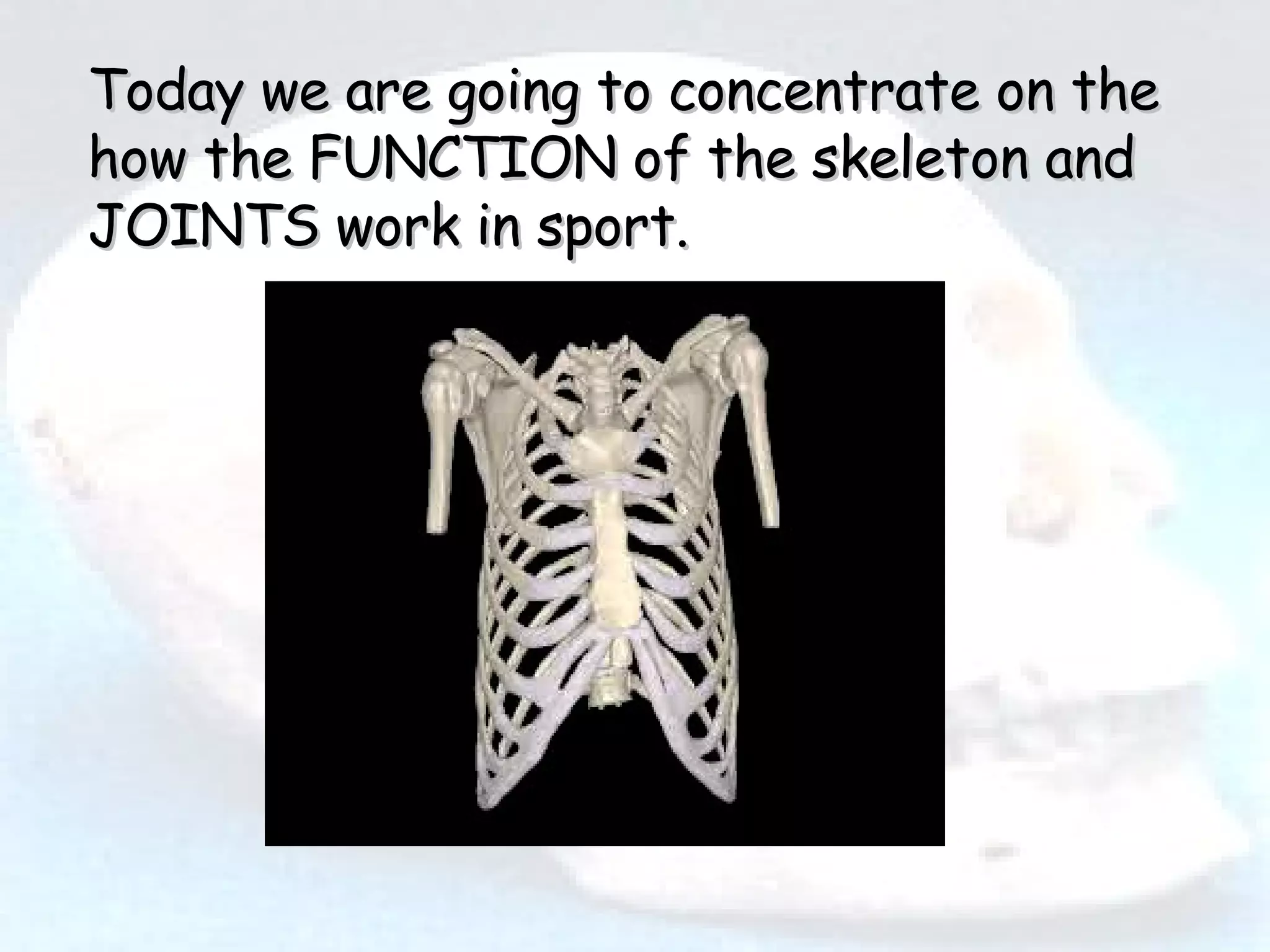 Skeletal System and Joints | PPT