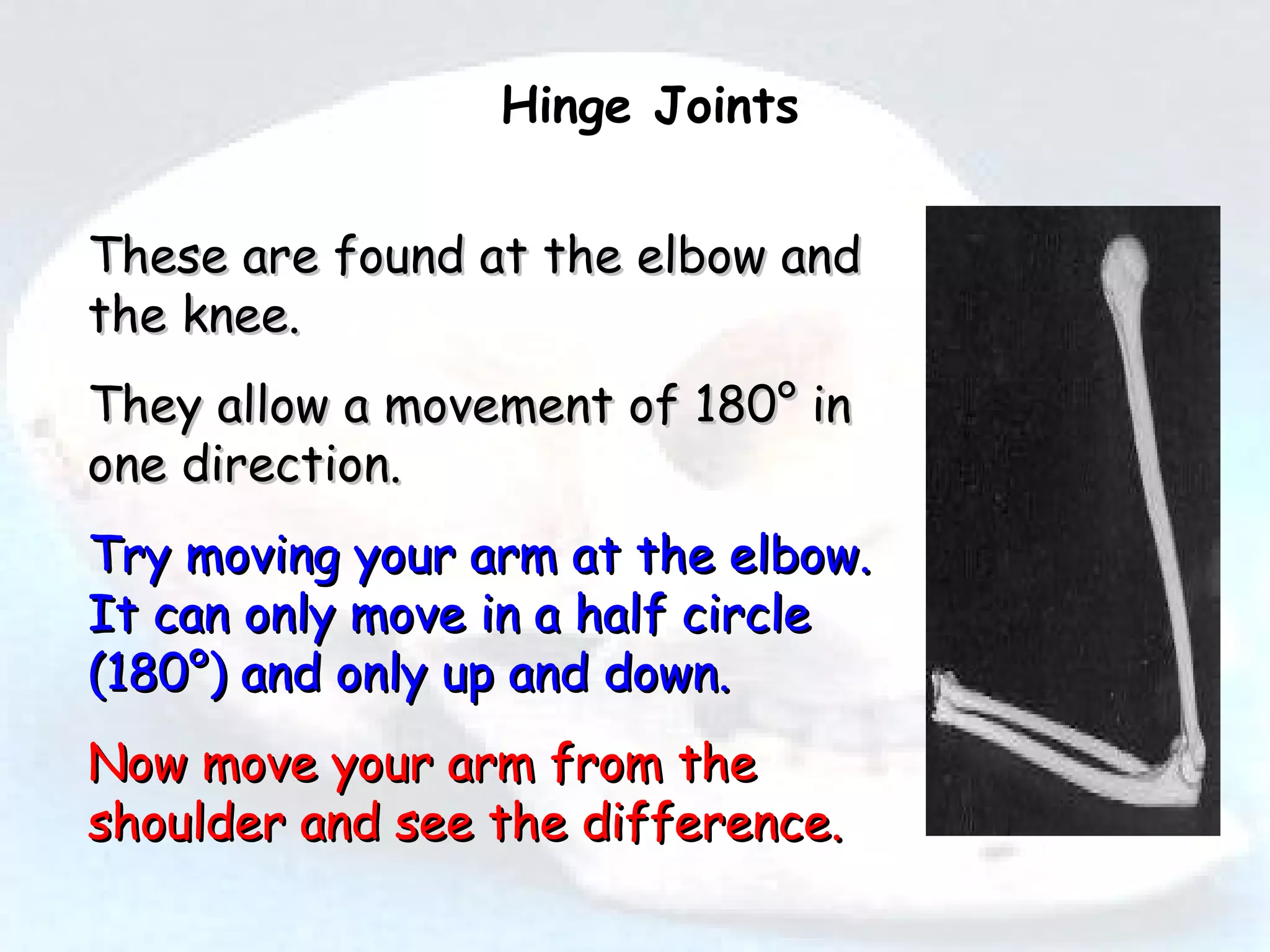 Skeletal System and Joints | PPT