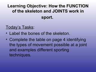 Skeletal System and Joints | PPT