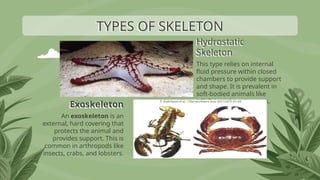 Skeletal-System-Group 3 yahay kaaayo haa | PPTX
