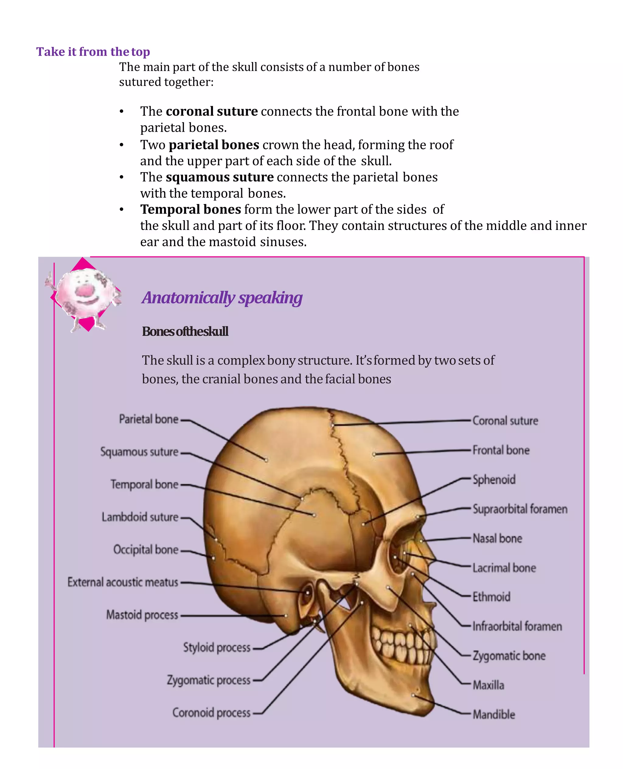 Skeletal system- a brief study | PPTX