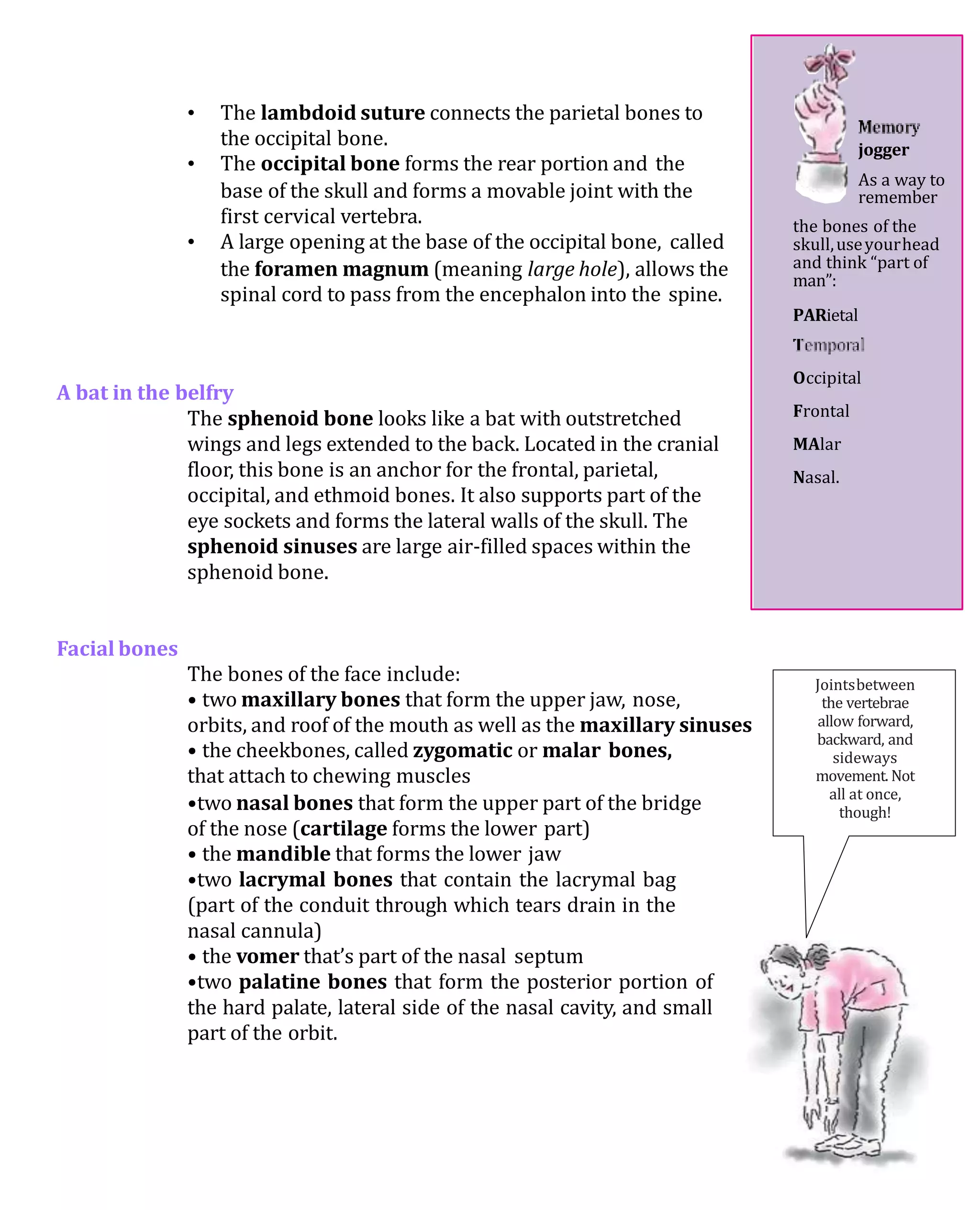 Skeletal system- a brief study | PPTX