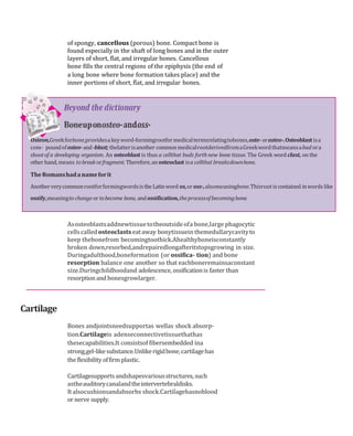 Skeletal system- a brief study | PPTX
