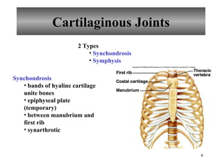 Skeletal System Lecture | PPT